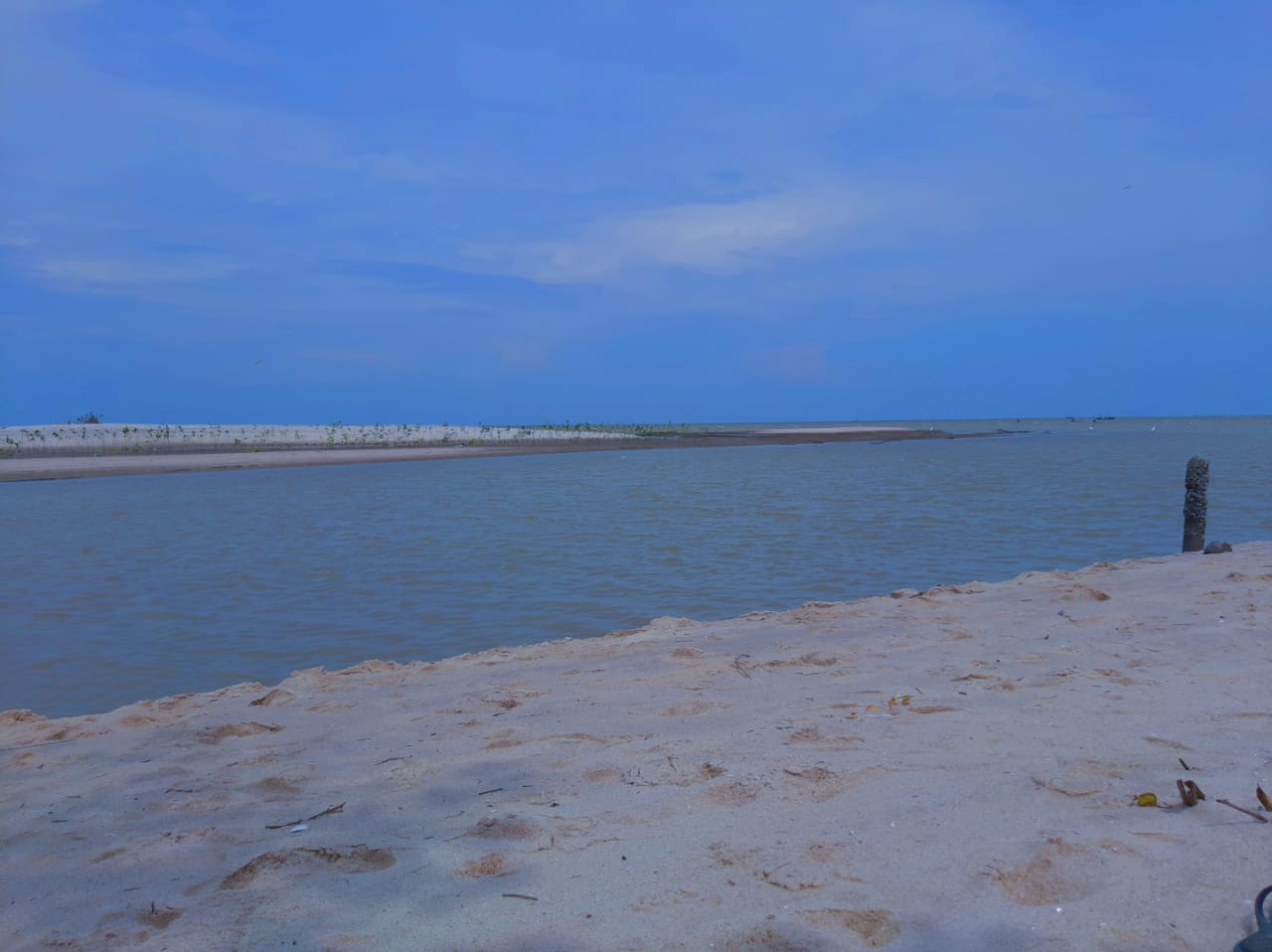 Wonderland: First Daytrip, Pantai Mangrove Perbaungan