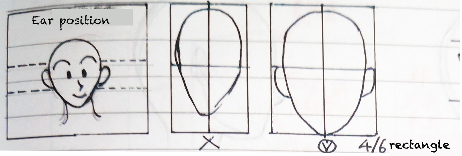 How to draw the head perspective technique