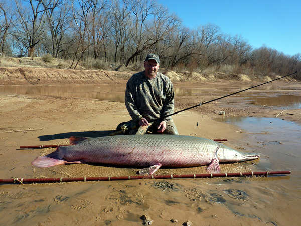 HIP HICK CHICK: PLENTY BIG FISH!! Record Gar Caught in Oklahoma