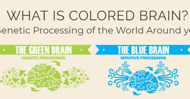 KIMS.B Consulting: WHAT IS COLORED BRAIN AND HOW IT CAN BENEFIT YOUR ...