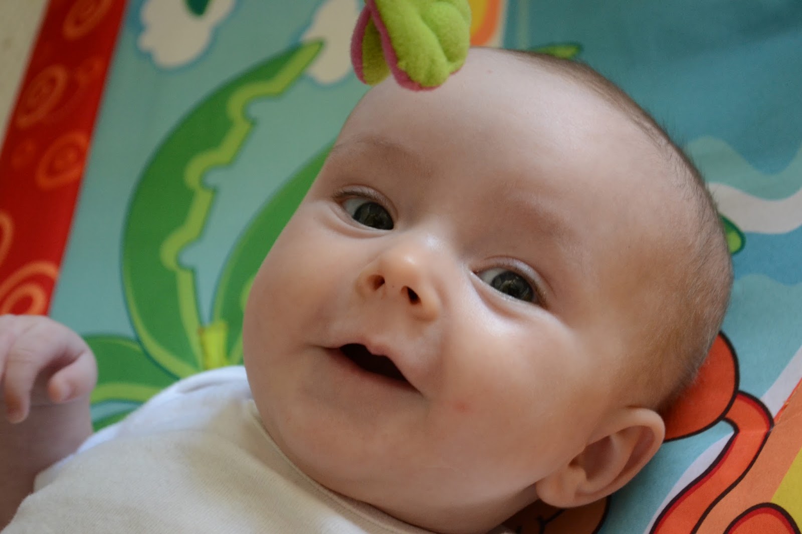 a tiny little bit overdue with the cuteness - The New Wittys