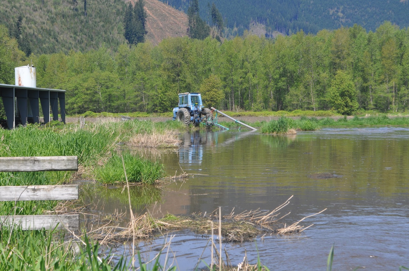 meat: A river of manure