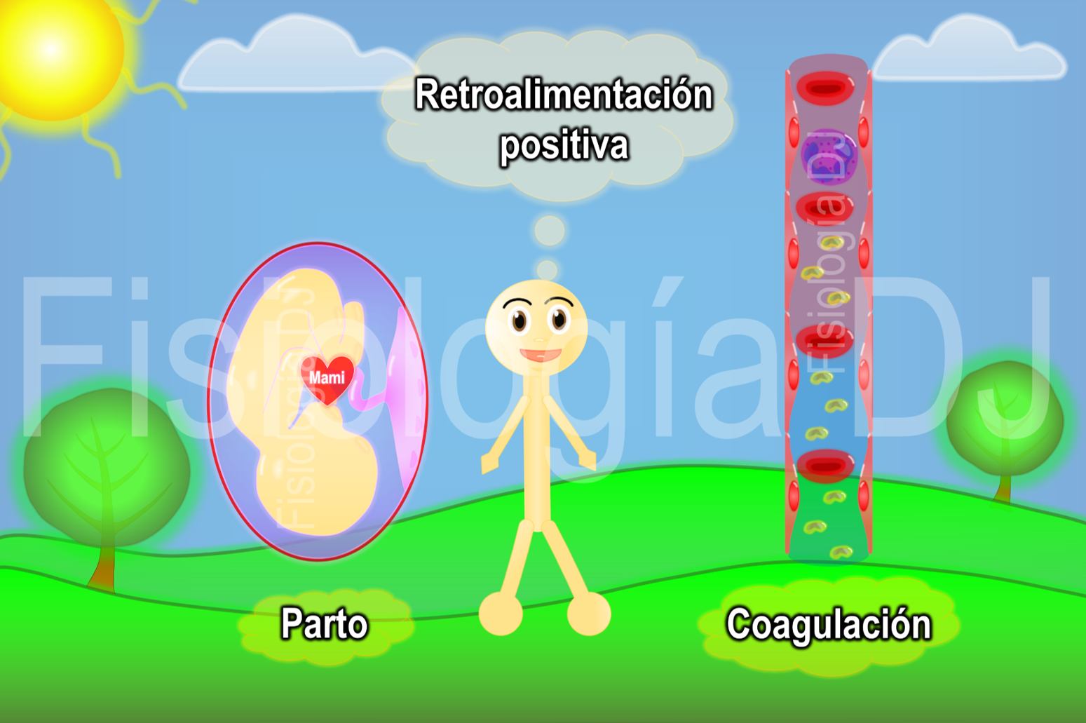Fisiología DJ: Lo esencial de retroalimentación.
