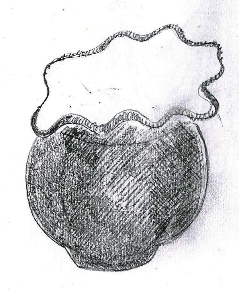 A Sketch A Day: Sketch # 45 - Pot