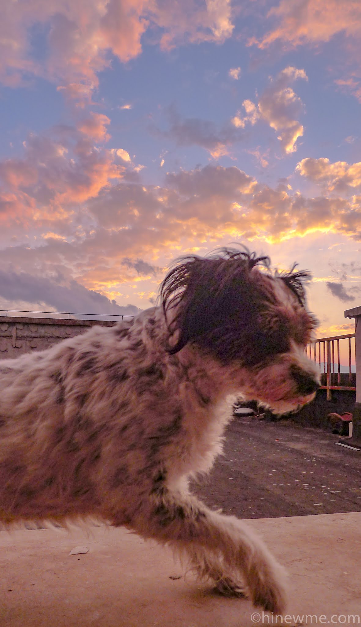 28sunset |sunset time | 5sunset photography tips The pink and purple ...