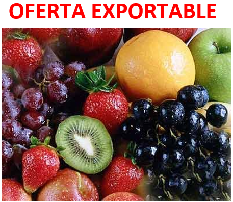 OFERTA EXPORTABLE ~ ACTUALIDAD Y NEGOCIOS