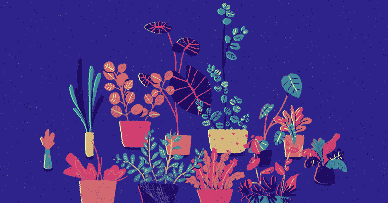 Exercícios de botânica com gabarito | Bio Nota 10