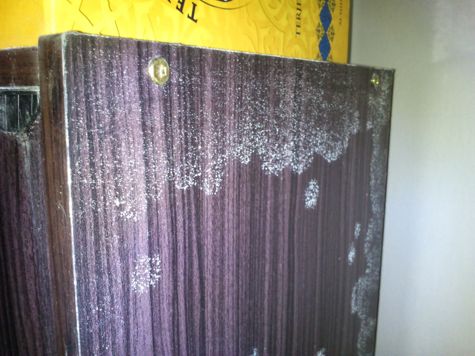 Wahnan Asliyam: Membuang kulat pada perabot