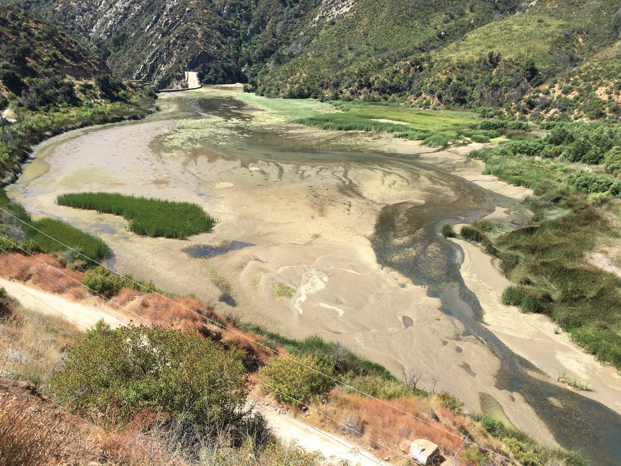 Ventura River Ecosystem: Matilija Reservoir Drained