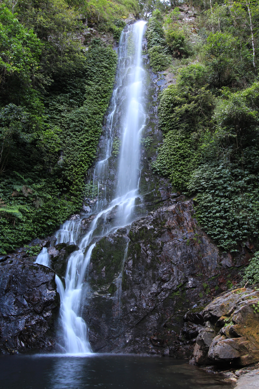 awildland: Sliding into the green room - Williams River Canyon ...