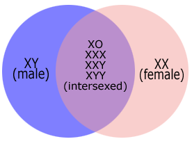 Intersex Anatomy