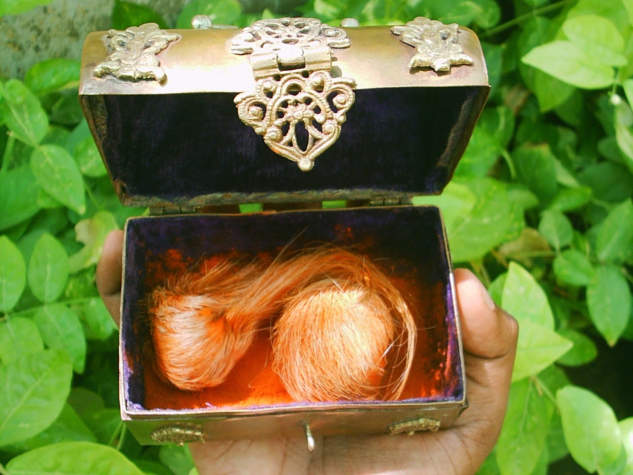 Dawat e Rohaniat ~*~ دعوتِ روحانیت: The Gidar Singhi Talisman