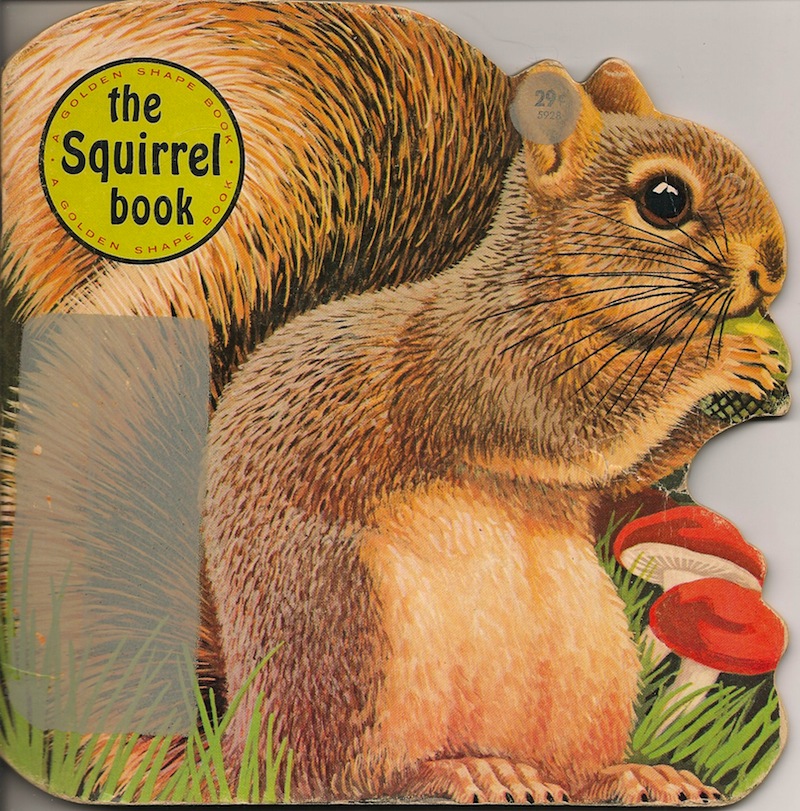 The Secret World of Hazel Catkins: The Squirrel Book A Golden Shape Book