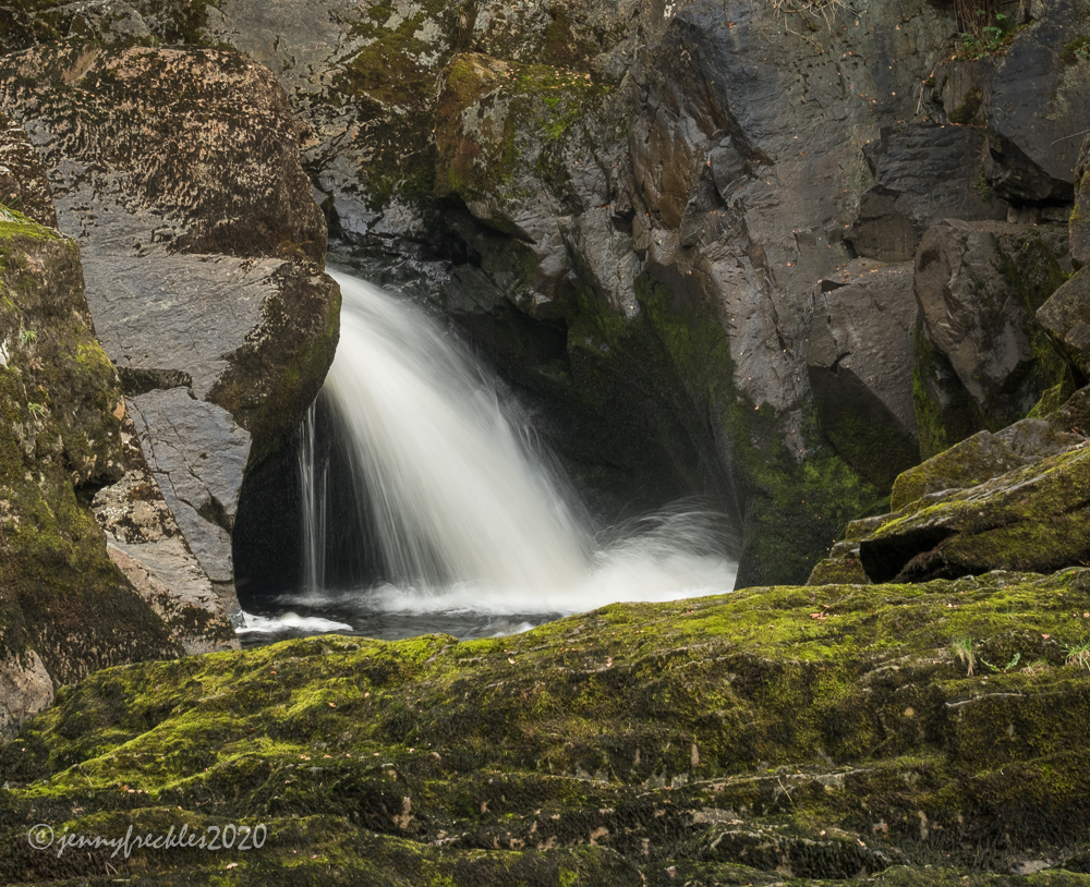 Salt & Light: The Doe and its falls