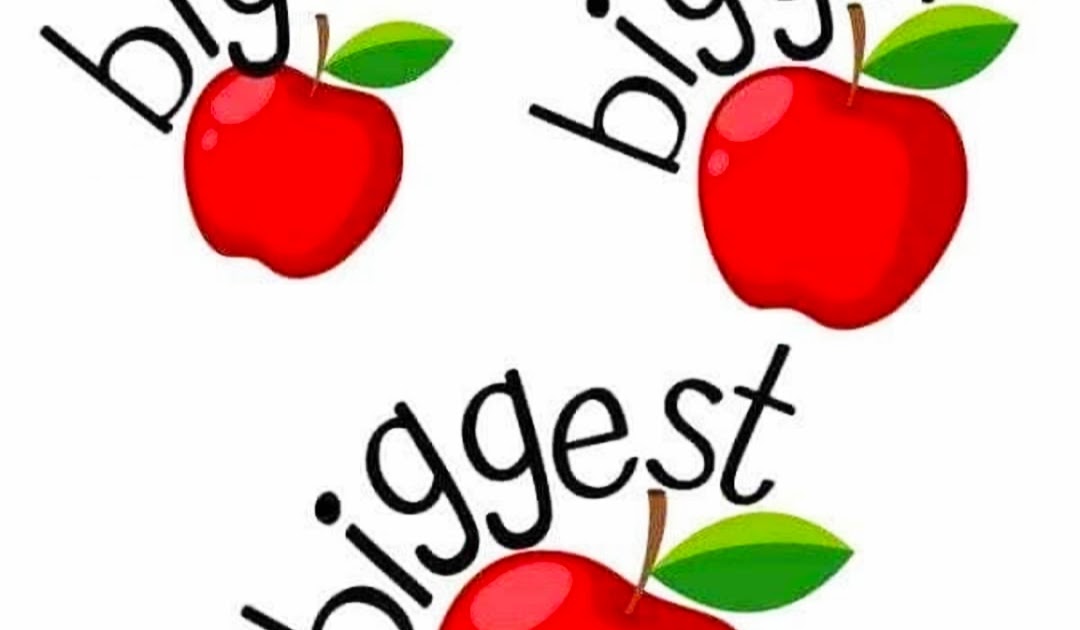 3 Types of Degrees of Comparison - Basic Concept for Beginners