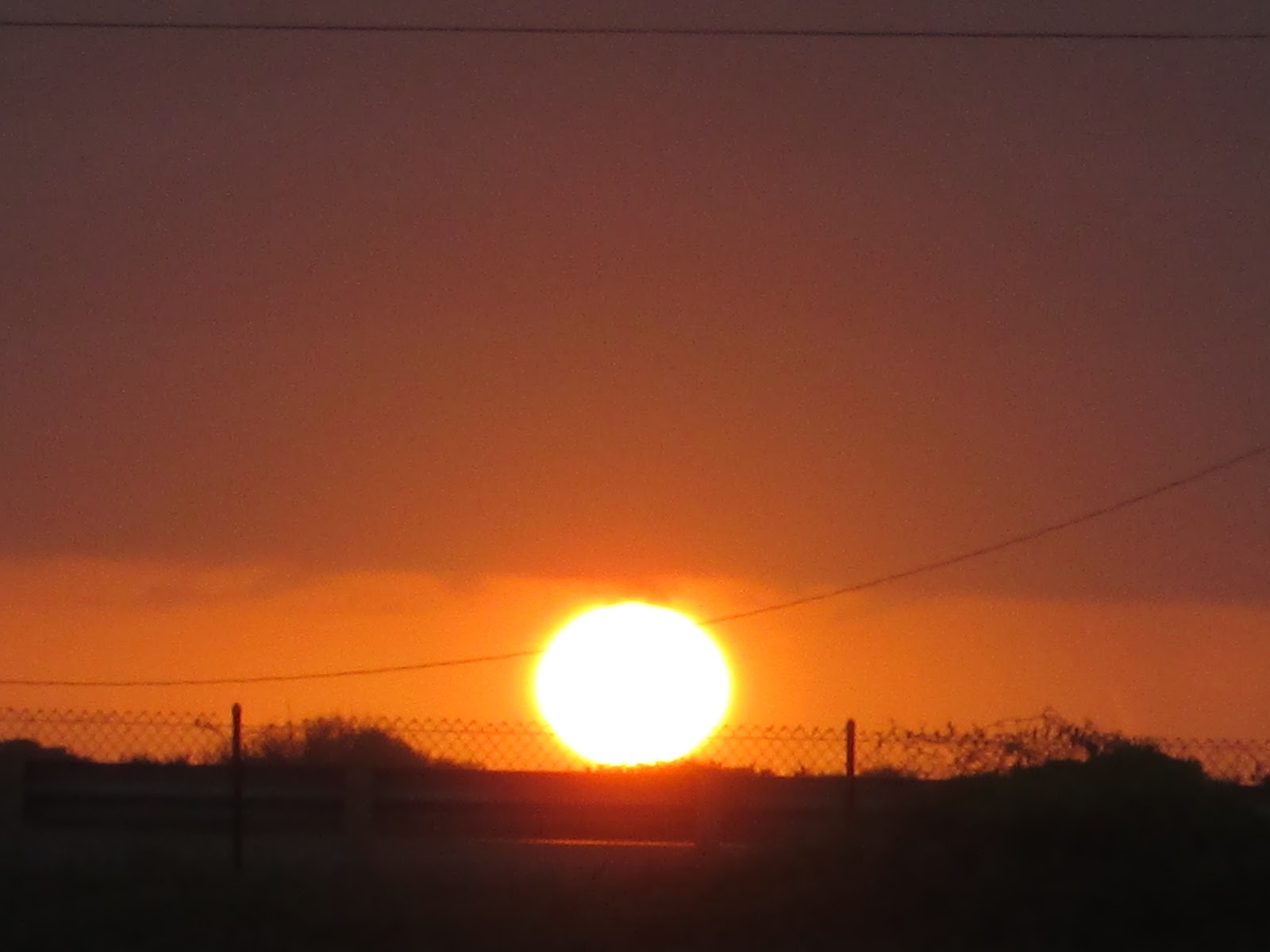 Adventures of Surona and DeJa Vu