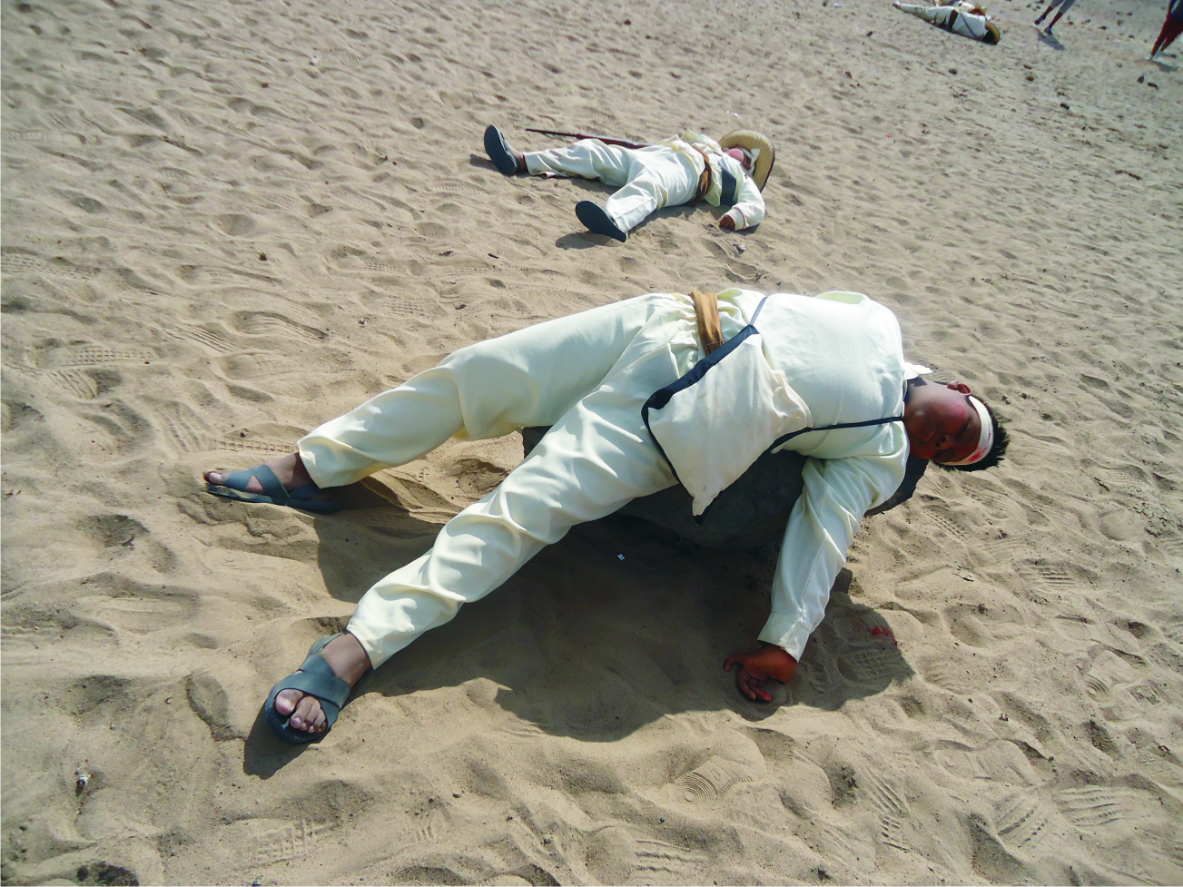 David Poma Huanca: Batalla del Campo de la Alianza