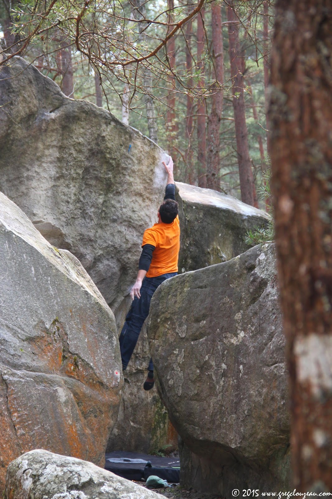 mars 2015 ~ FontaineBleau Passion