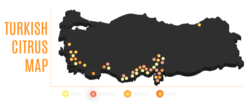 Scented World: November 2015