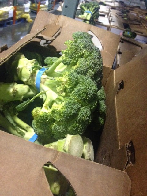 What's in the Warehouse Wednesday?