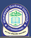 Himalayan Garhwal University Uttarakhand Wanted Professor/Associate ...
