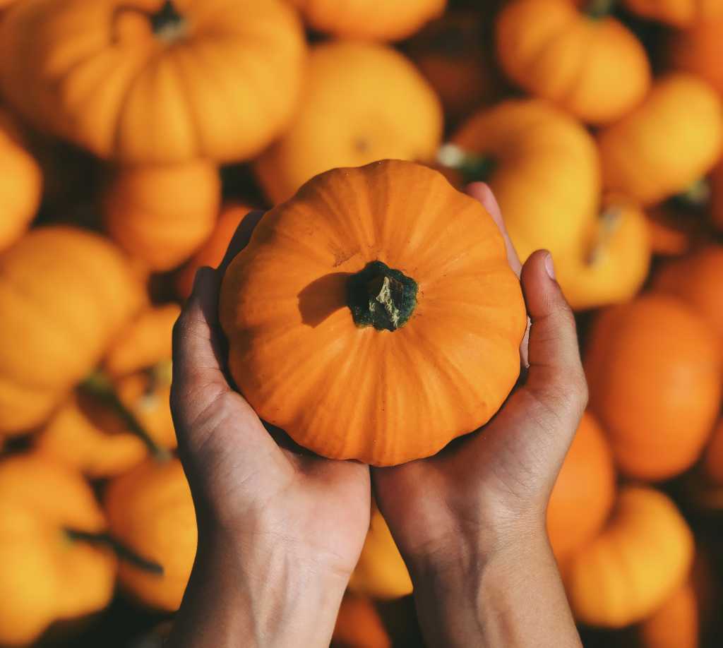 Banyak Khasiat Buah Labu Yang Tak Ramai Tahu - AkuBahrain