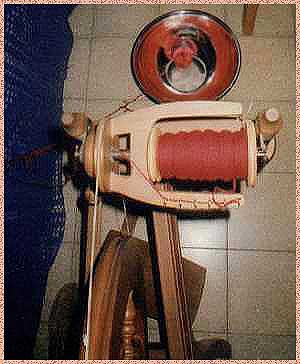 Counting the Cost: The Tola'at Shani