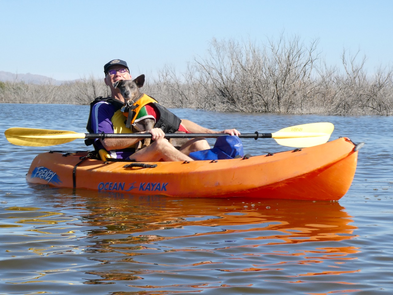 Greg's Running Adventures: Charmin Covid -19 Marathon Race Report