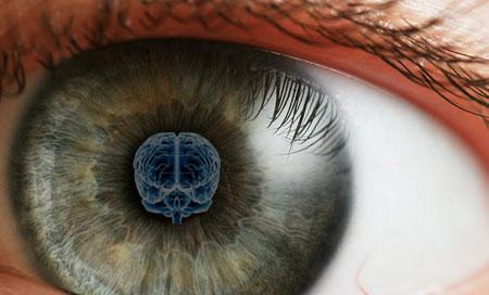 La percepción humana del mundo: la percepción humana