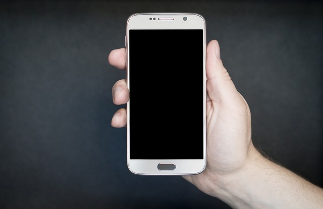 How To Find Downloaded Files On My Phone Trending Bees how-to-find-downloaded-files-on-my-phone-trending-bees