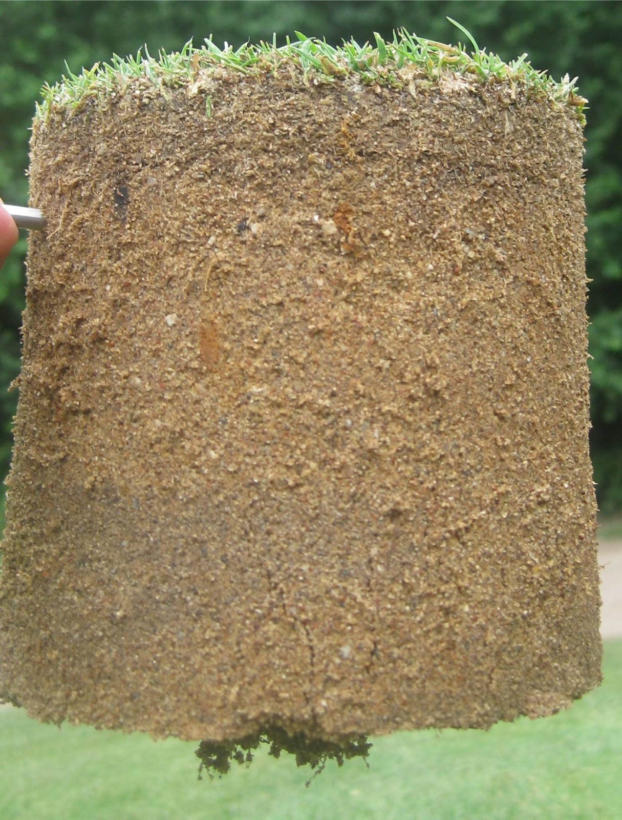 Northmoor Country Club Golf Course Operations: Why are the white greens ...