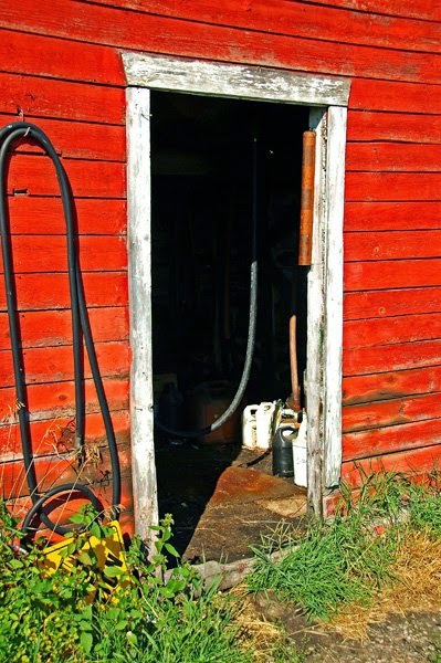 Fiddlehead Time...: Farm Adventures...part 2...