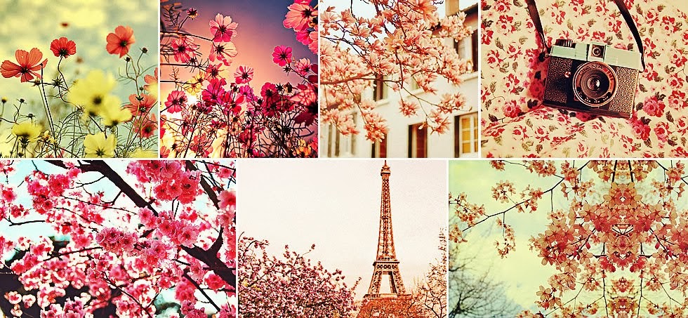 Photography | gabbyhyun.blogspot.com - image #1855556 on Favim.com