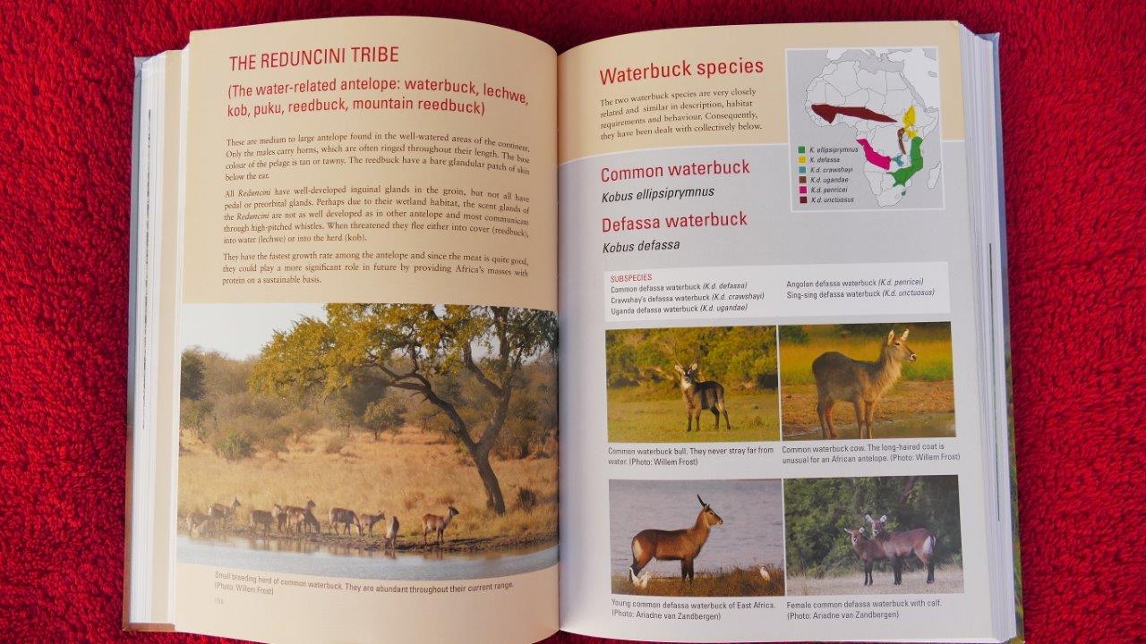 Southern Africa's Ramsar Sites: The Antelope of Africa