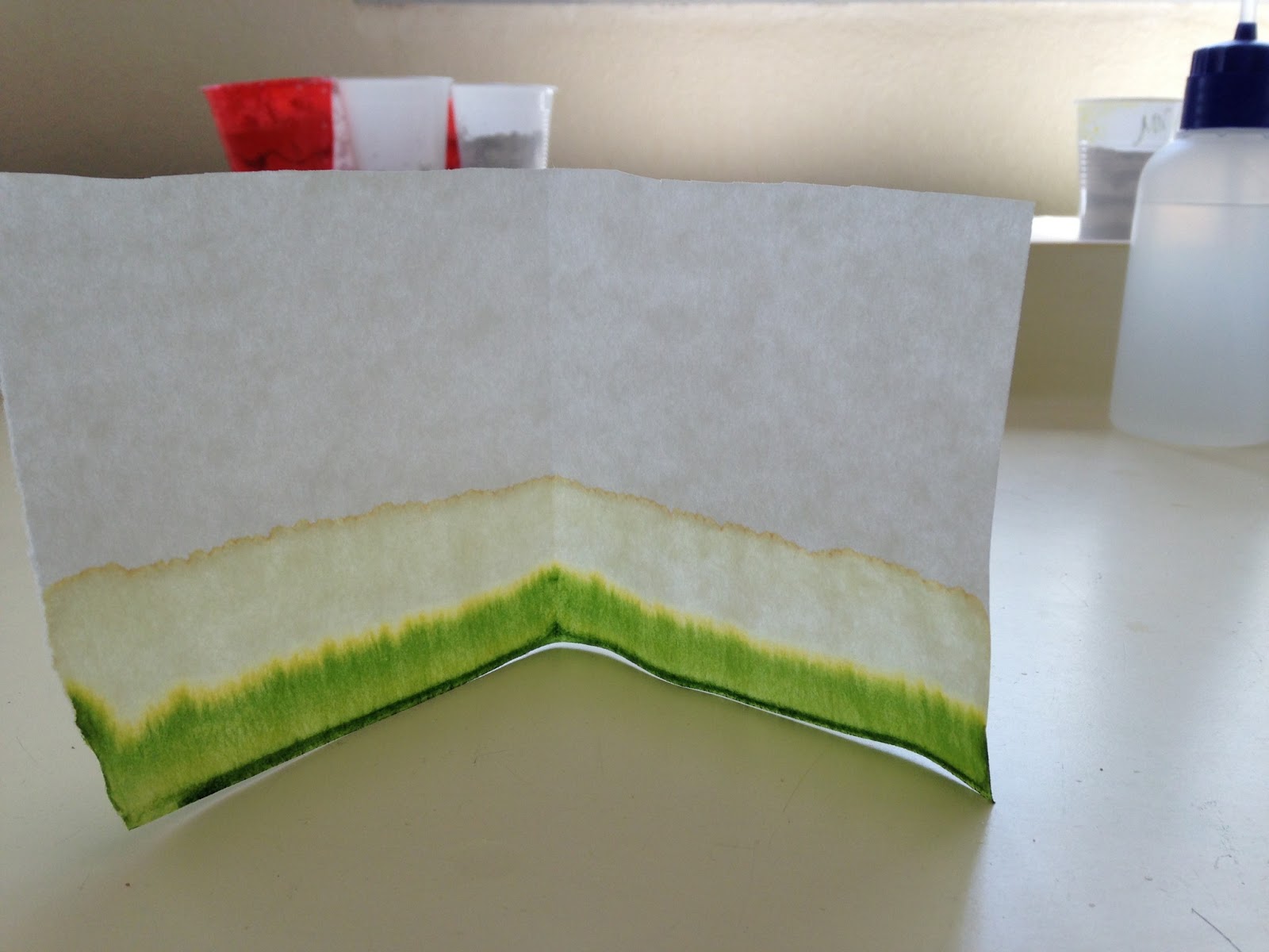 Ciències Naturals MBT: Cromatografía sobre papel