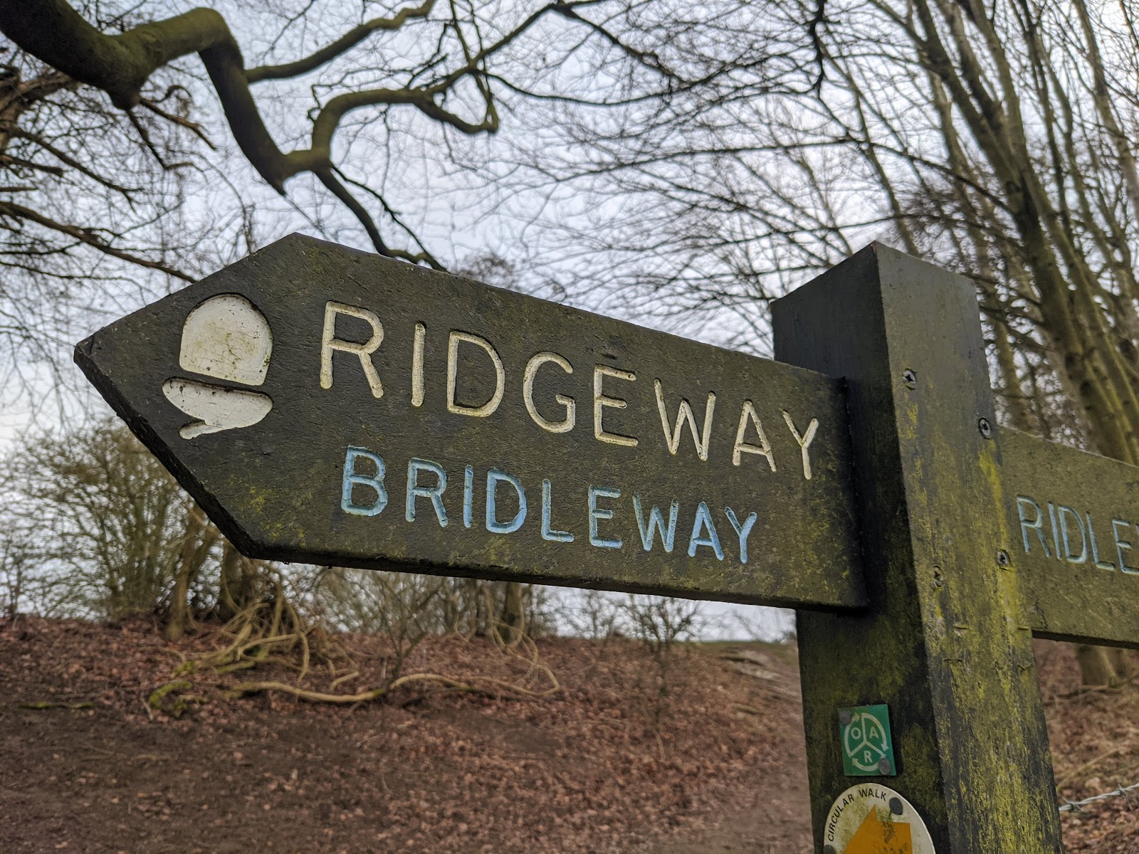 The Ridgeway #2: Wendover to Princes Risborough