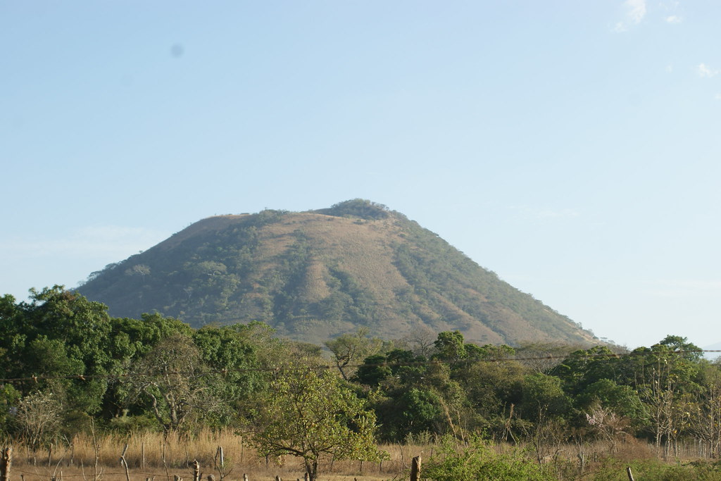 El Paso del Torogoz: El Porvenir