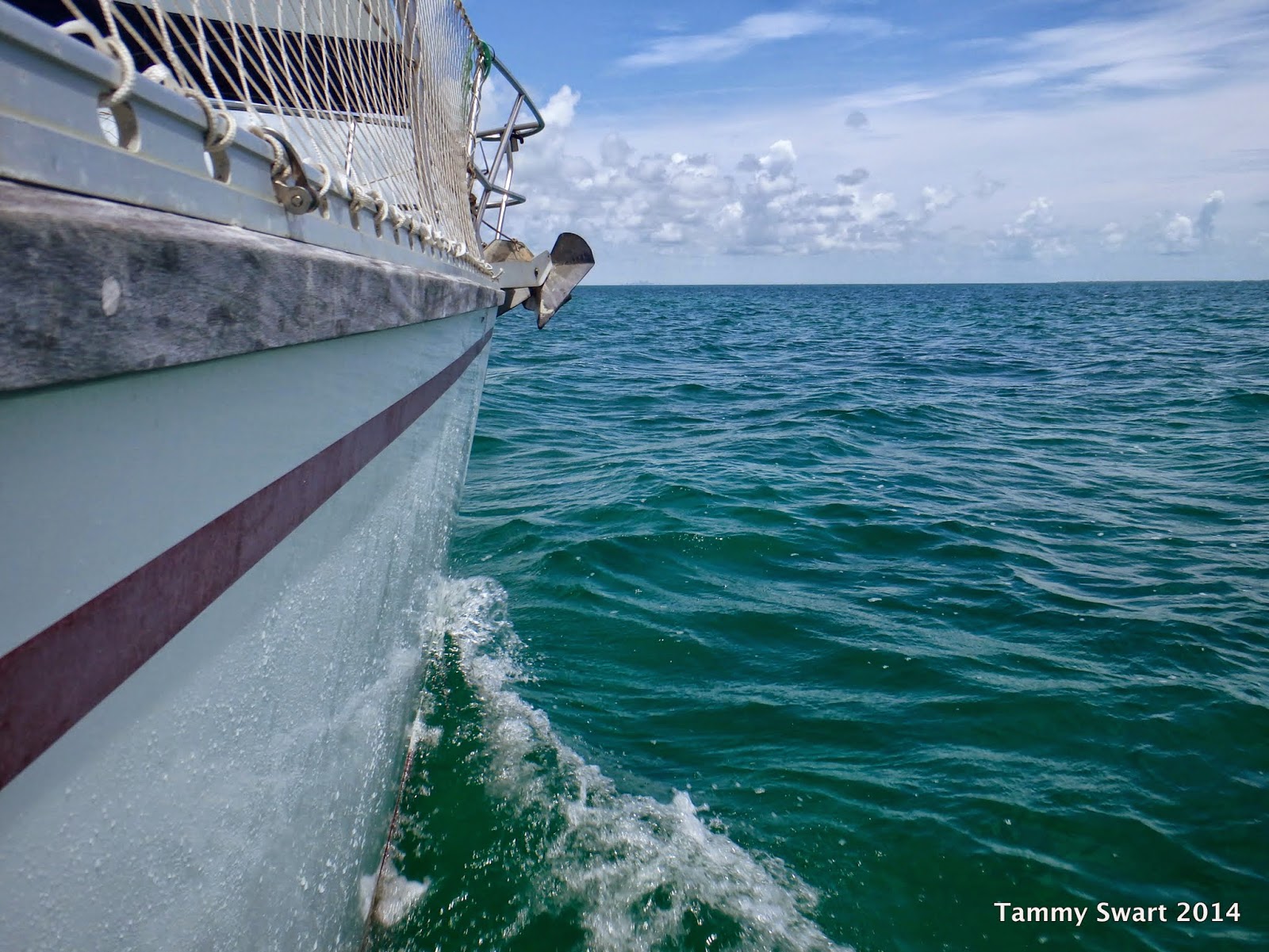 Things we did today...: Elliott Key