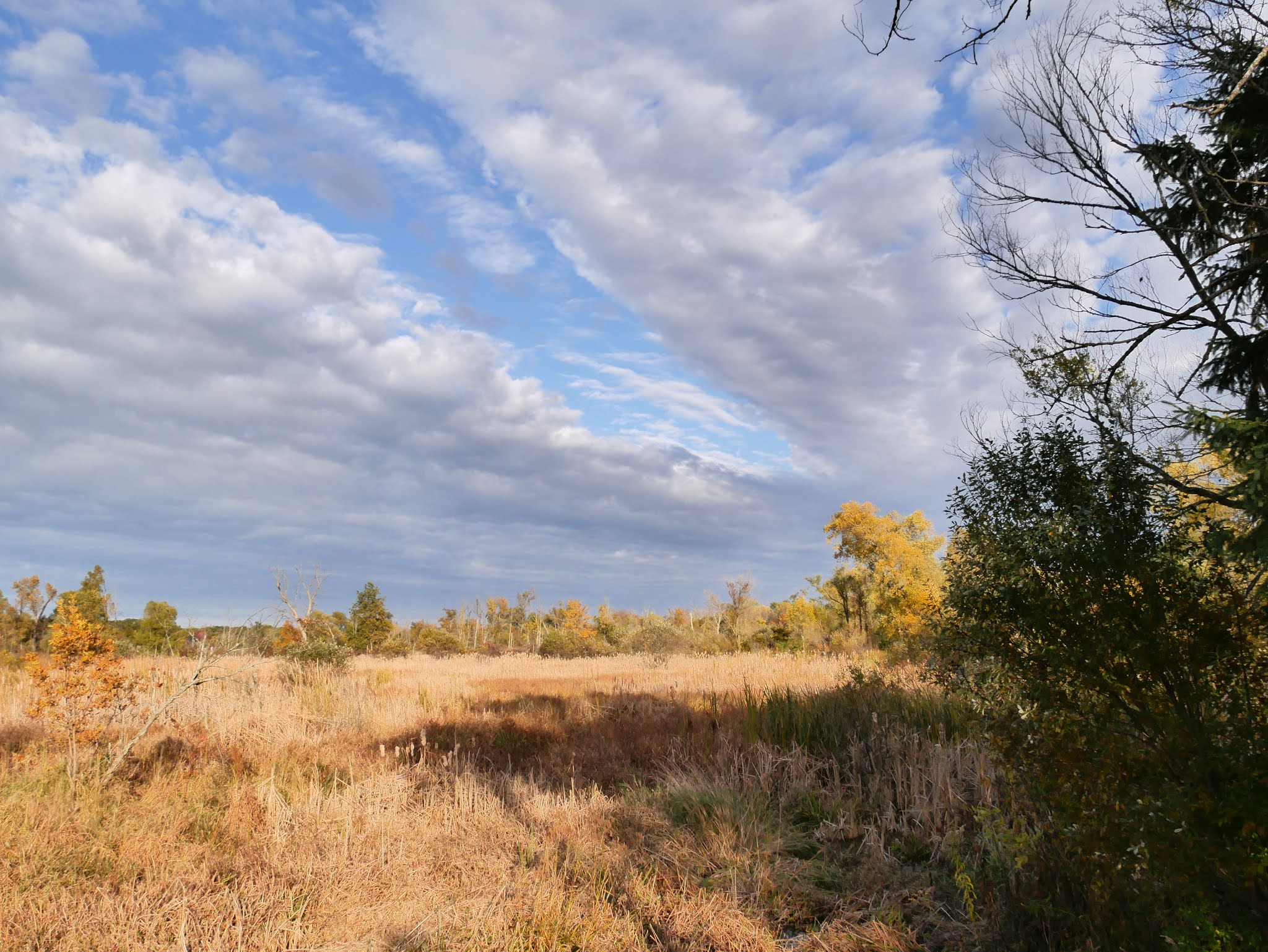 American Travel Journal: Great Marsh Trail - Indiana Dunes National Park