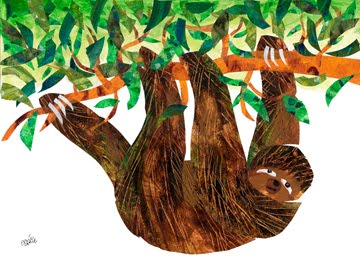 Eric Carle Blog: The Peaceful Sloth