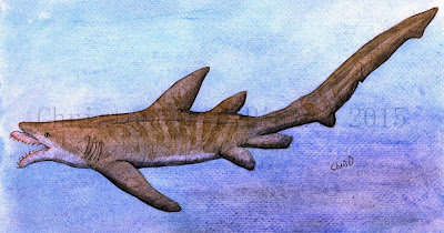 Prehistoric Beast of the Week: Edestus: Beast of the Week