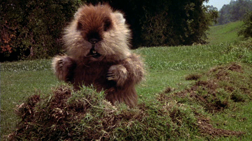 Life Between Frames: Worth Mentioning - Somebody's Got to Do It