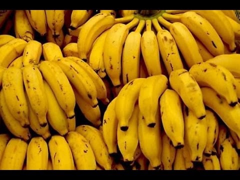 Historia del Banano