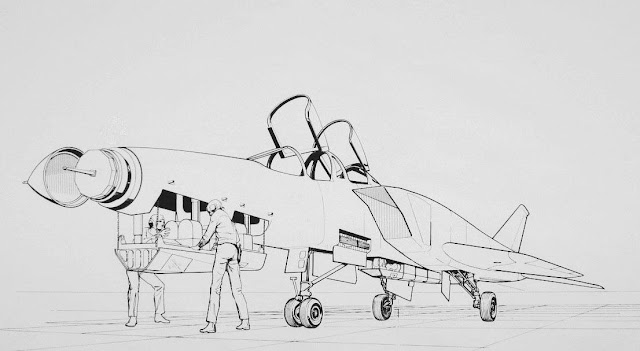 No Barrel Rolls: ¿Tomcat? No tanto, el McDonnell Douglas Model 225