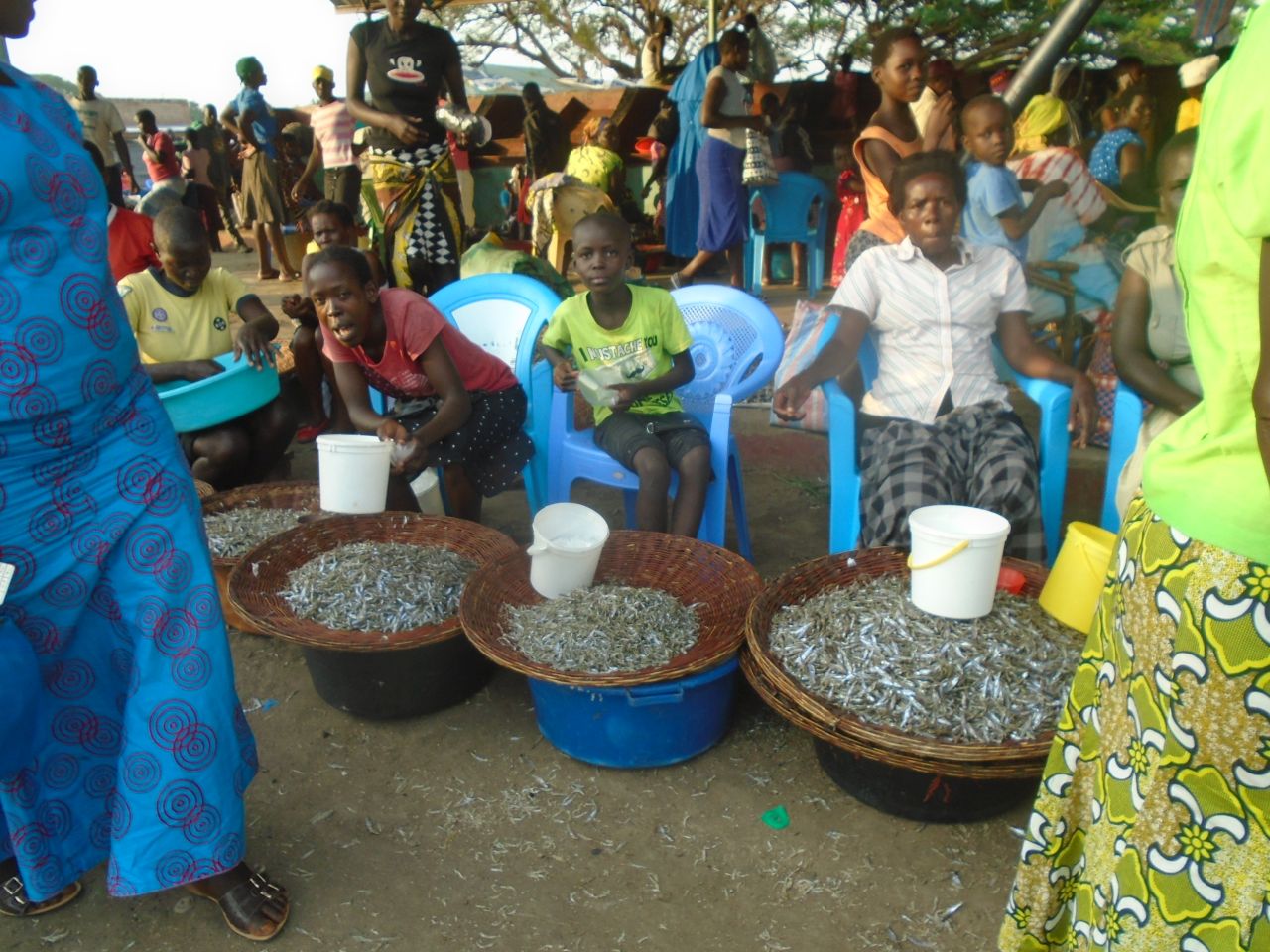 Sezer's Travel Blog: Kenya-Mbita (Sindo) 2019.12.27