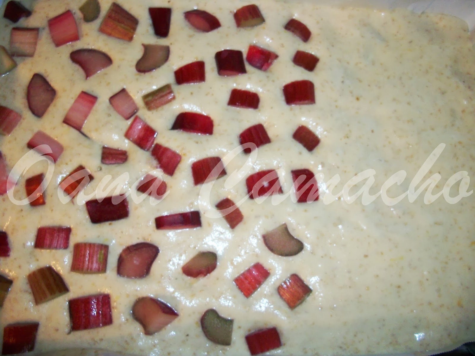 Cooking with love ! : PANDISPAN CU RUBARBA ( RHUBARB SPONGE CAKE )