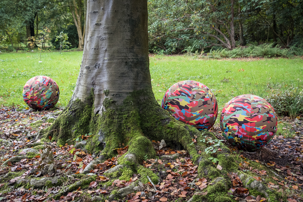 Salt & Light: Sculpture in the Gardens