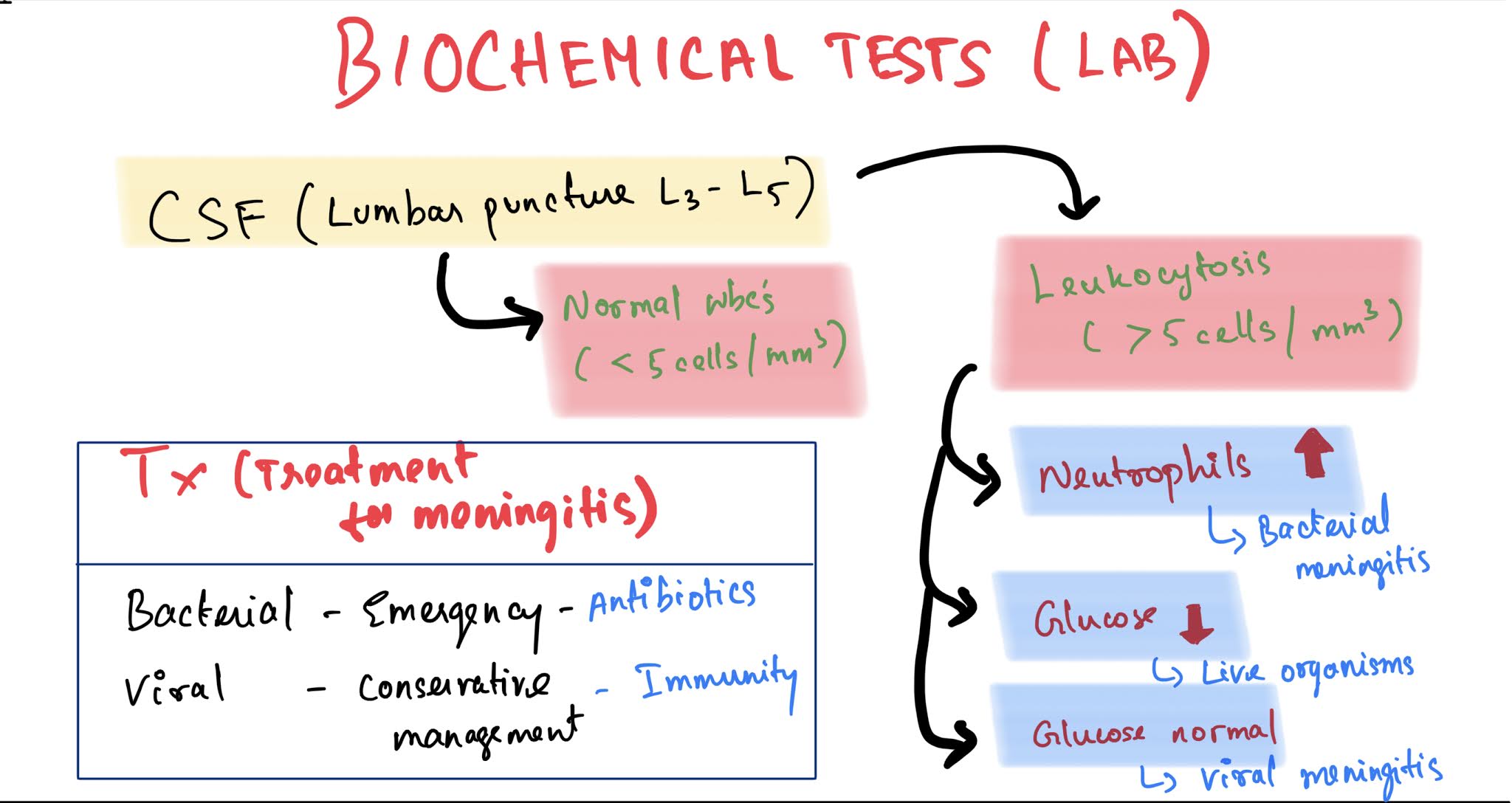 Medicograspers | Clinical signs in medicine | Kernig’s and brudzinki sign