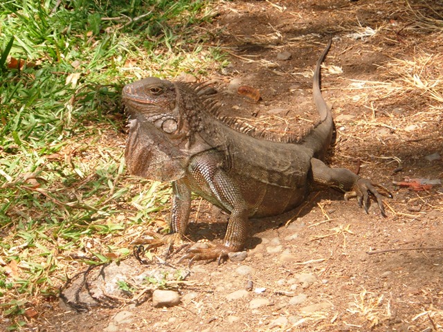 Elder Jonathan D. Hardy Nicaragua Managua South Mission