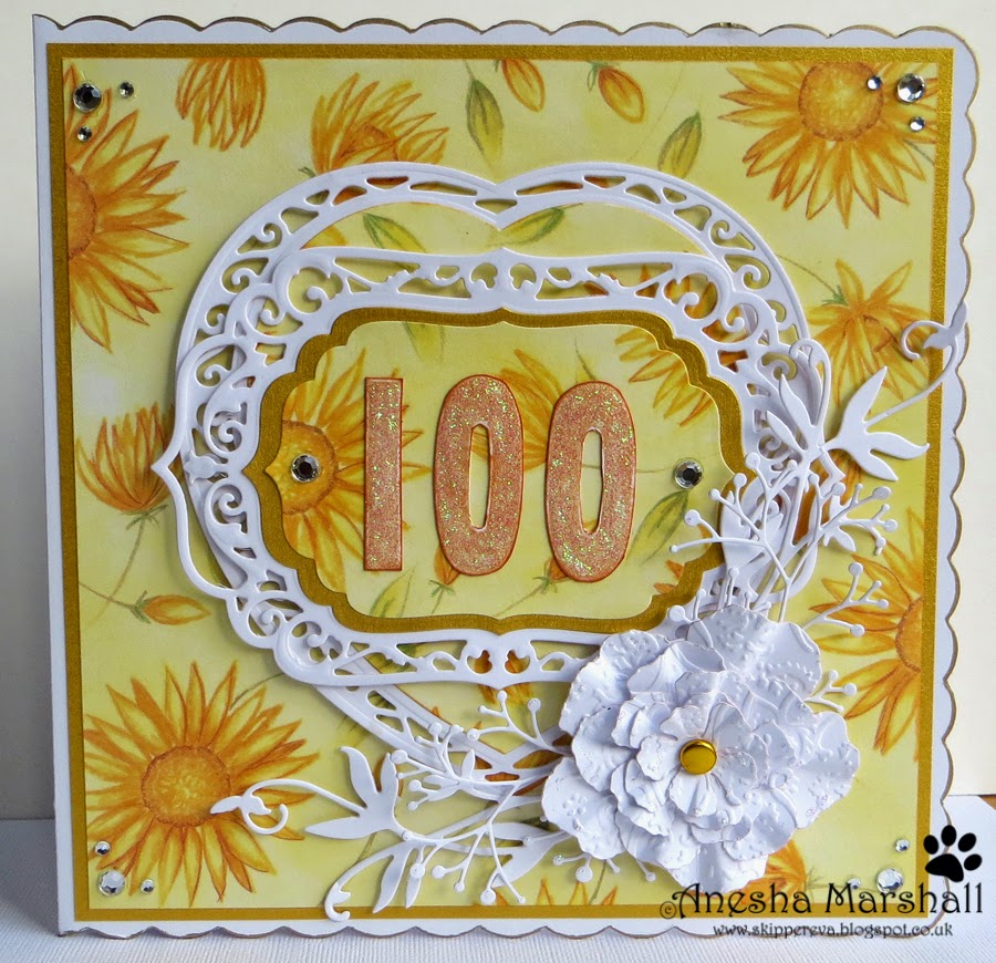 Happy 100th Birthday card